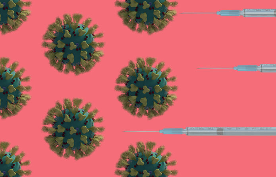 Immune Tolerance Network | Benaroya Research Institute