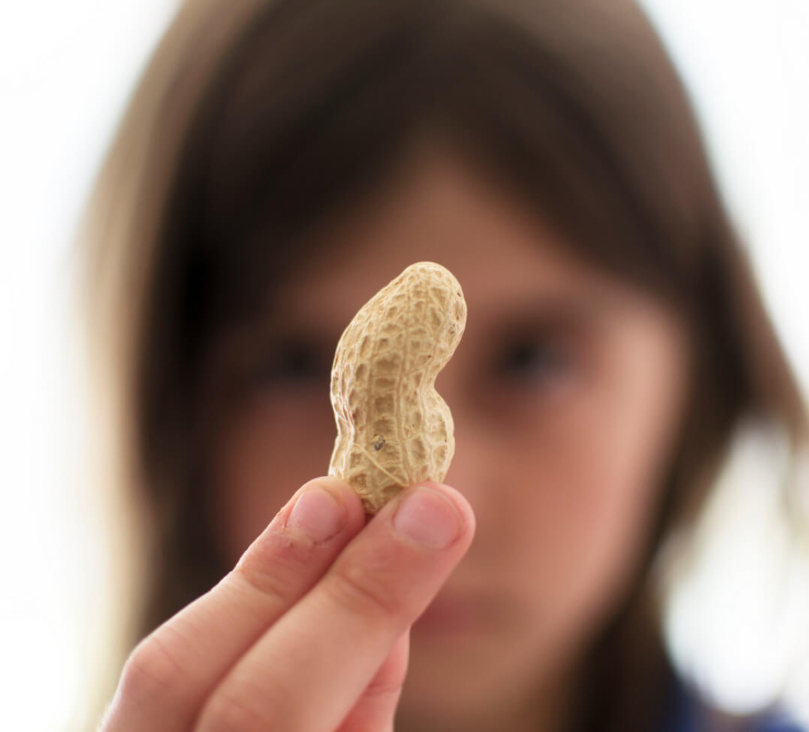 Critical Discovery in Peanut Allergy | Benaroya Research Institute