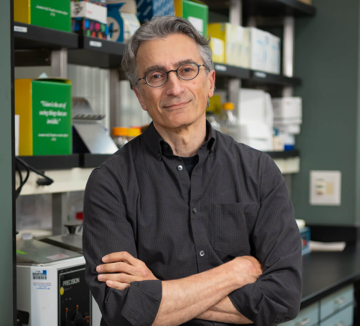 The Man Behind the Data: Hamid Bolouri, PhD | Benaroya Research Institute