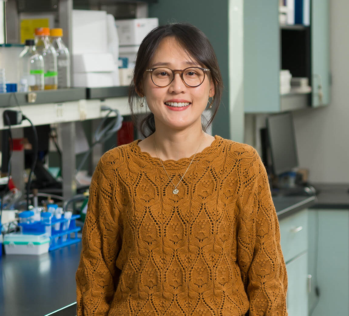 A Promising New Approach to Stopping Type 1 Diabetes | Benaroya ...