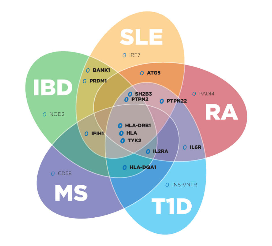 Mystery Of Multiple Autoimmune Diseases | Benaroya Research Institute