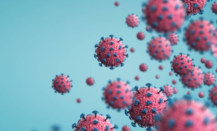 Lacy-Hulbert Lab | Benaroya Research Institute