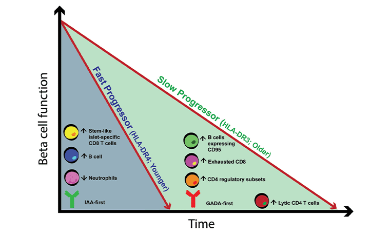 Long Lab | Benaroya Research Institute