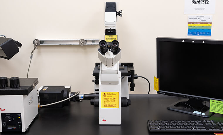 CATA Core: Imaging | Benaroya Research Institute