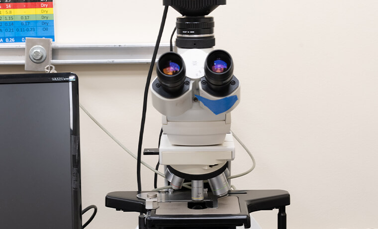 CATA Core: Imaging | Benaroya Research Institute