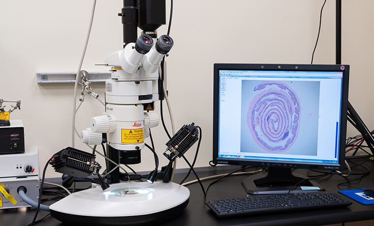 CATA Core: Imaging | Benaroya Research Institute