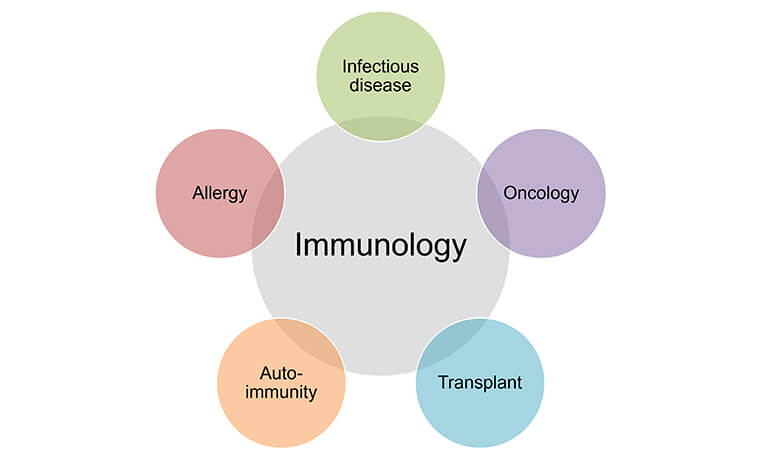 Human Immunophenotyping Core | Benaroya Research Institute