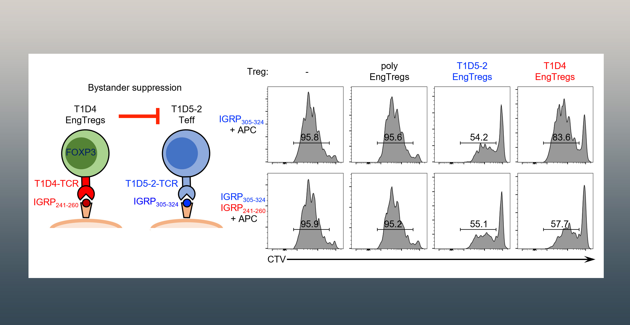 Regulatory T cells in the context of autoimmune disease | Benaroya ...