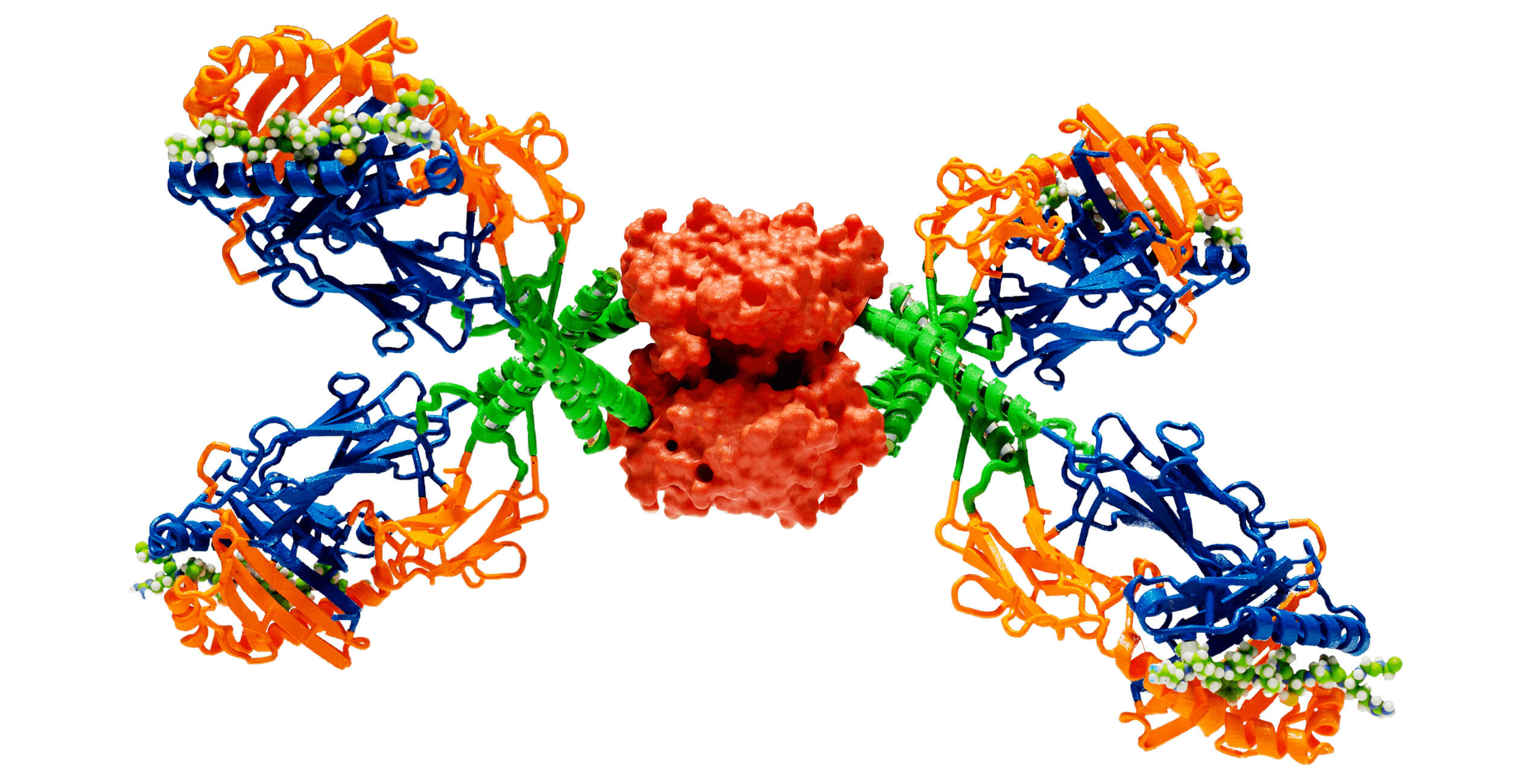 DNA-barcoded HLA class II tetramers | Benaroya Research Institute