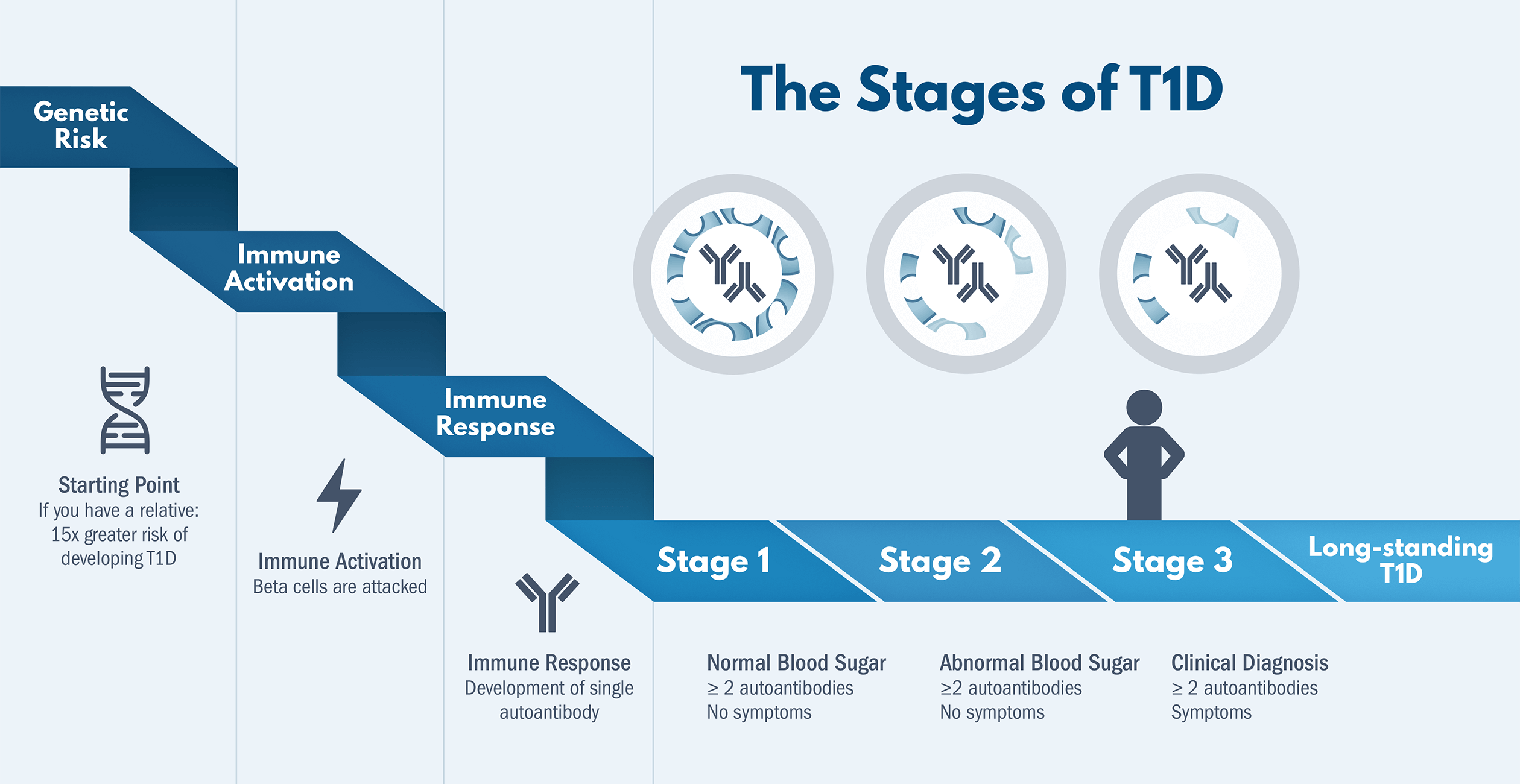 Understanding Progression of T1D | Benaroya Research Institute