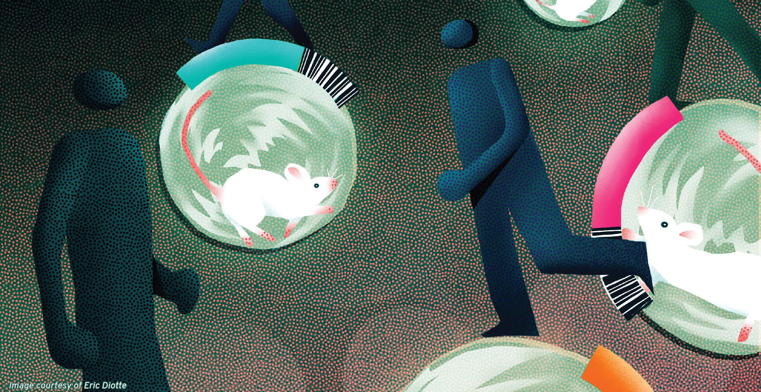 Ray Lab | Benaroya Research Institute