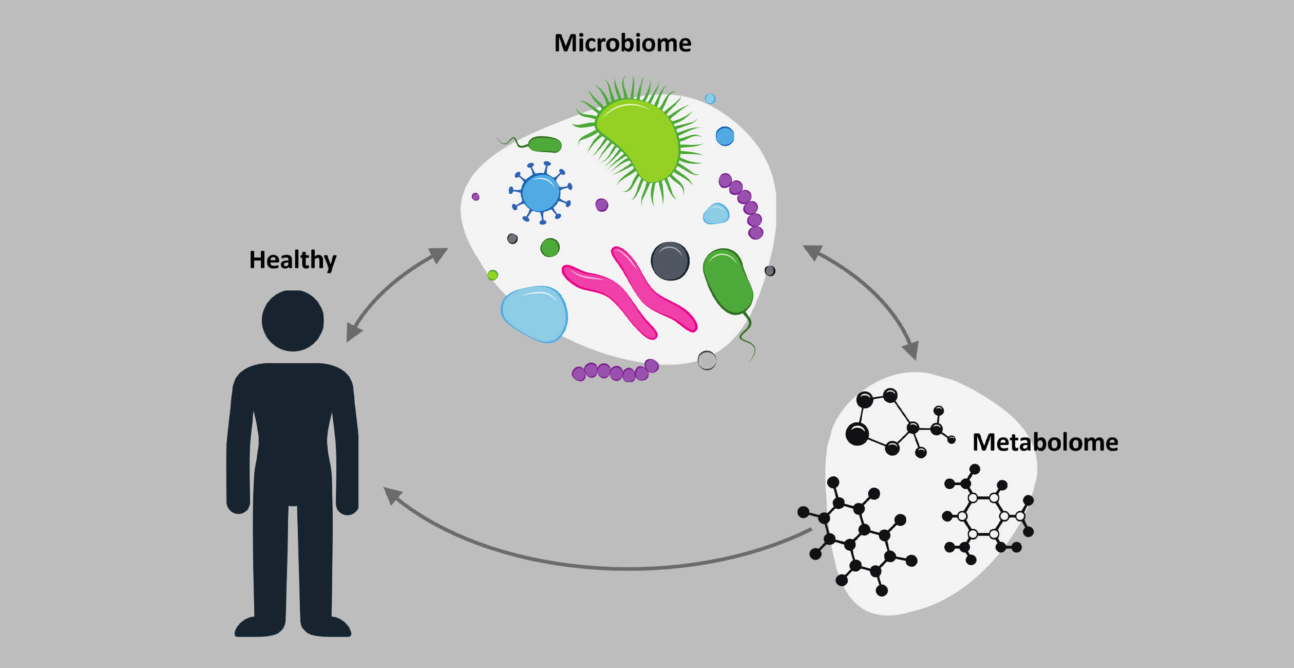 Steady State Microbiome and Metabolome | Benaroya Research Institute