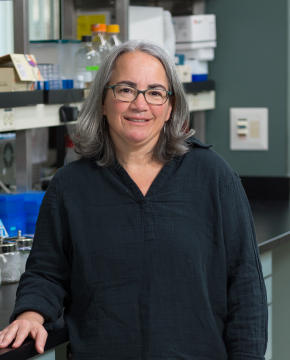 Leadership | Benaroya Research Institute