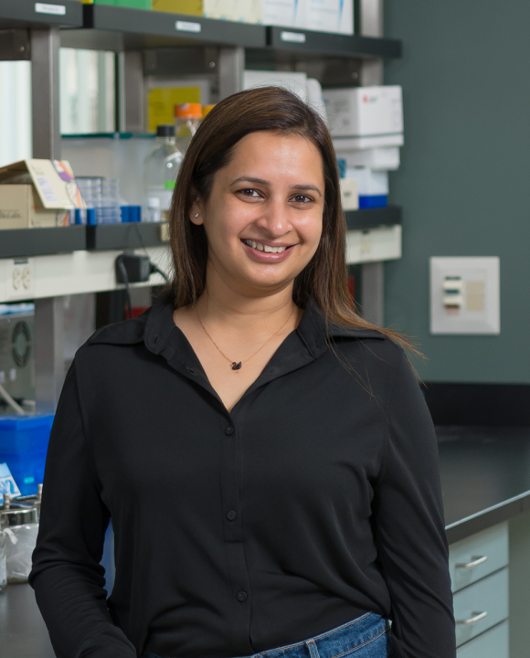 Harrison Lab | Benaroya Research Institute