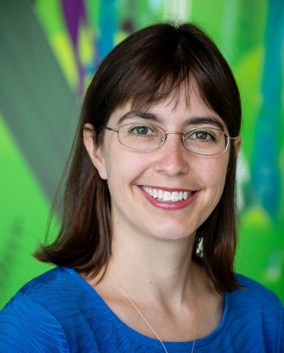 Hamerman Lab | Benaroya Research Institute