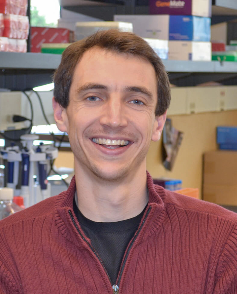 Faculty | Benaroya Research Institute