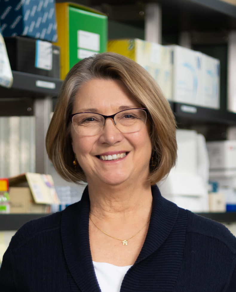 Immune Tolerance Network | Benaroya Research Institute