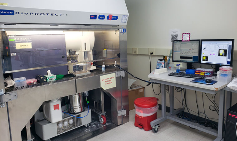 CATA Core: Flow Cytometry | Benaroya Research Institute
