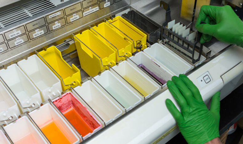 CATA Core: Histology | Benaroya Research Institute