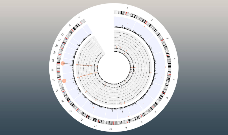 Labs | Benaroya Research Institute